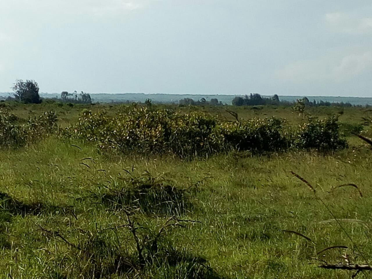 Plots for Sale in Rumuruti: Exploring Investment Opportunities in a ...