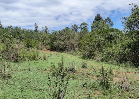 Land for Sale in Mukima Nanyuki: Unlocking Investment Potential in a ...