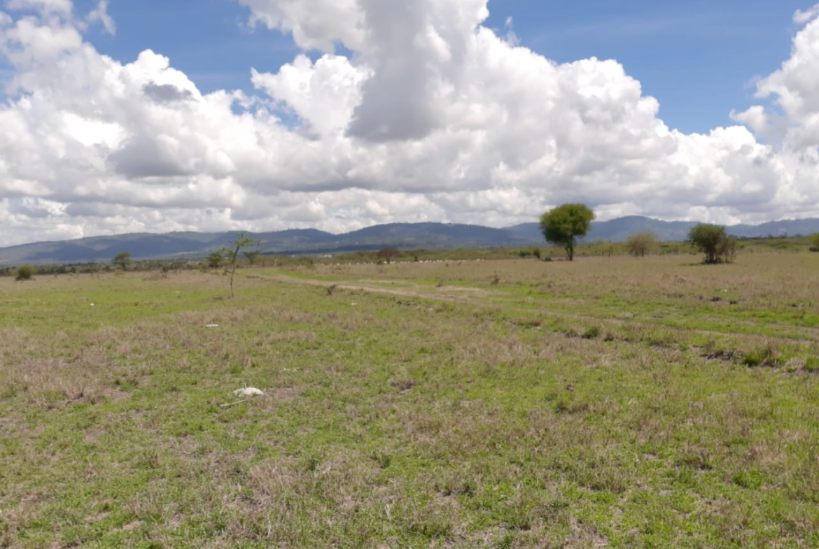 Kangundo Road Plots: Unlocking Investment Potential in a Thriving Real ...