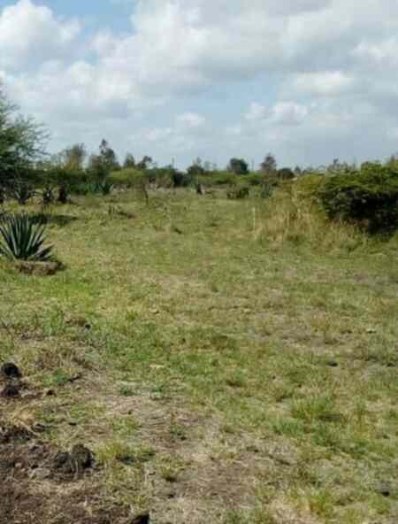 Land for Sale in Juja Town: A Comprehensive Guide to Investing in this ...