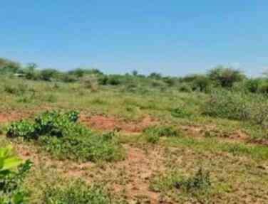 Matuu Town Plots for Sale: Exploring Lucrative Real Estate ...