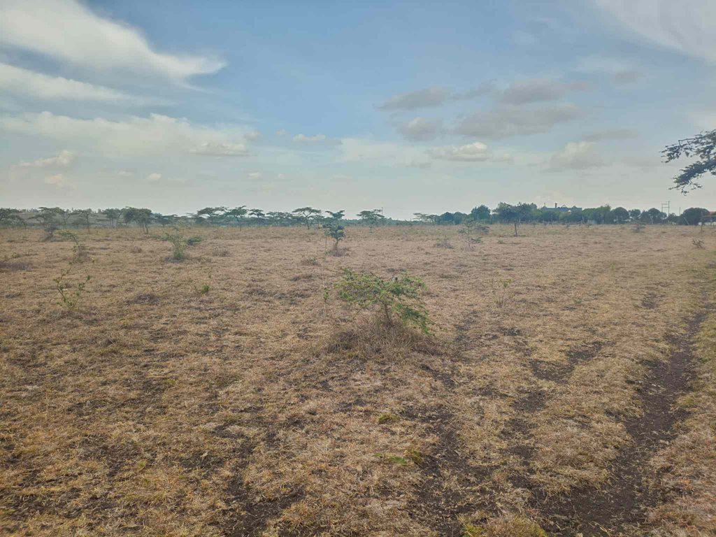 Ole Tepes Kiserian Land for Sale: Discover Tranquil Investment ...