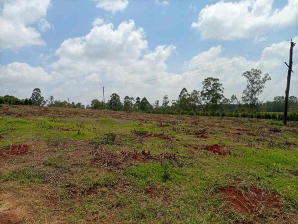 Best Plots for Sale in Ruiru: Your Ultimate Guide to Investing in Prime ...