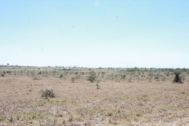 Plots for Rent in Kamulu: Your Guide to Finding the Perfect Rental Plot ...